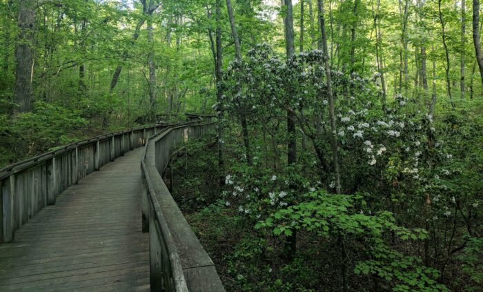 The best outdoor activities in North Alabama - SoulGrown