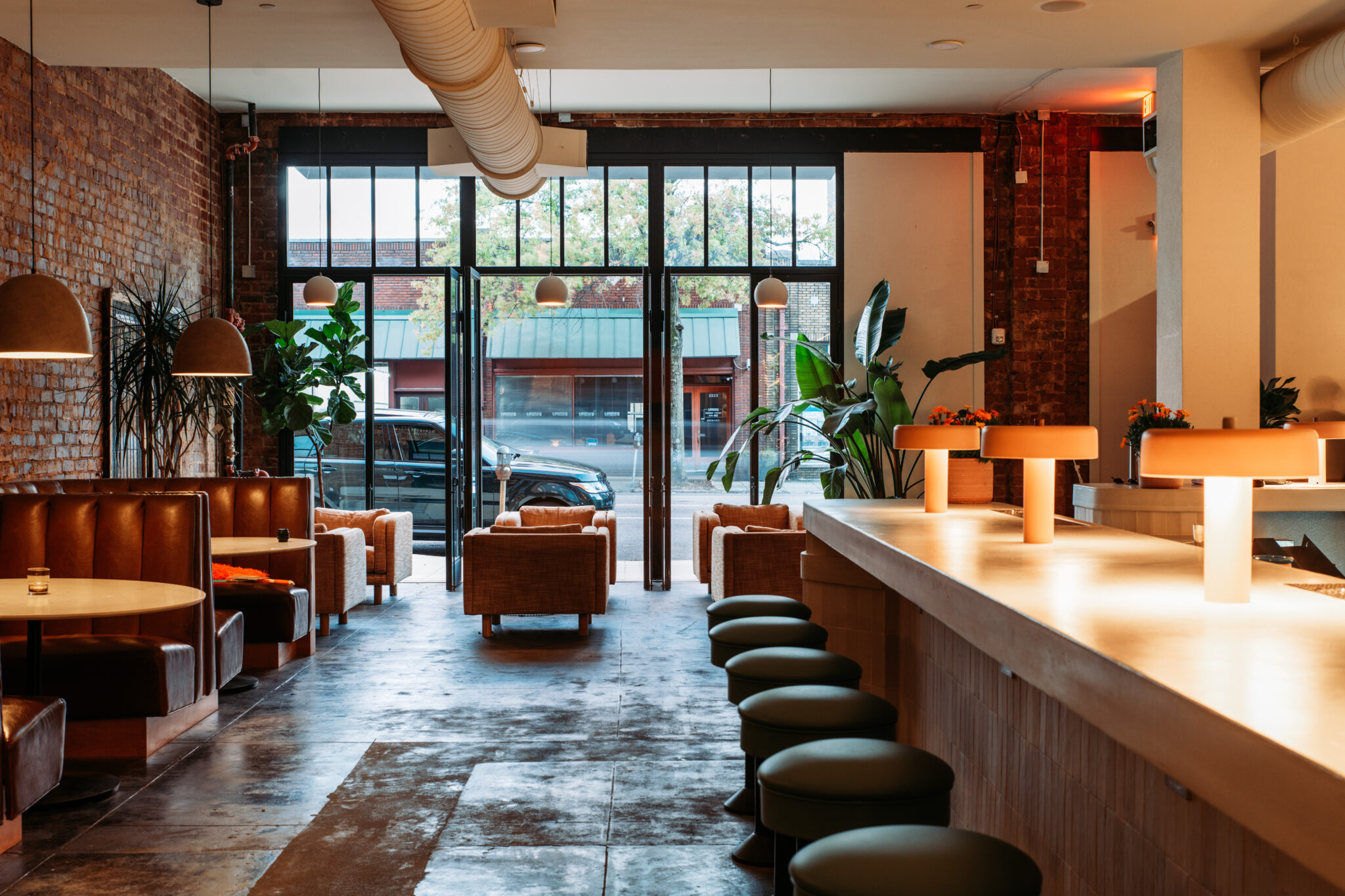 Homepage - SoulGrown