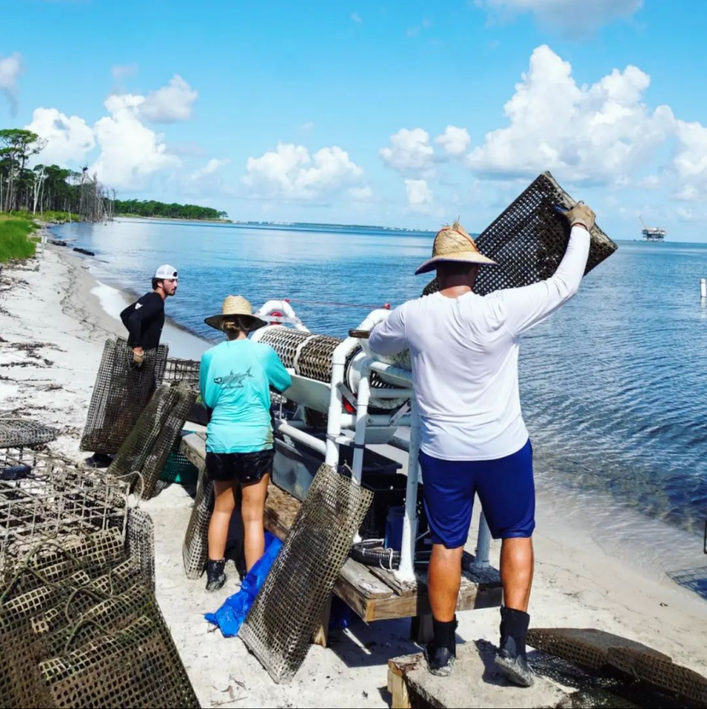 Admiral Shellfish Company grows prime oysters in south Alabama