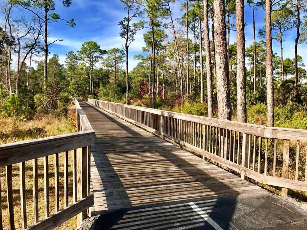 Alabama's beloved Hugh S. Branyon Backcountry Trail is chosen as the ...