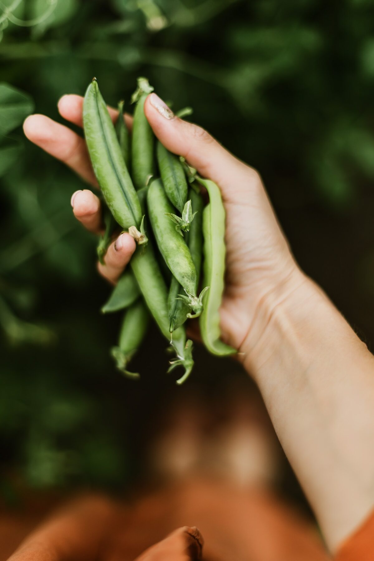 In-season Produce Guide: Alabama field peas | SoulGrown
