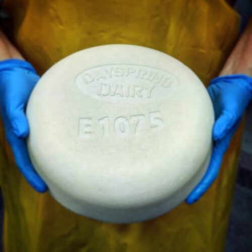 3 Alabama cheese makers bringing dairy to doorsteps across the state