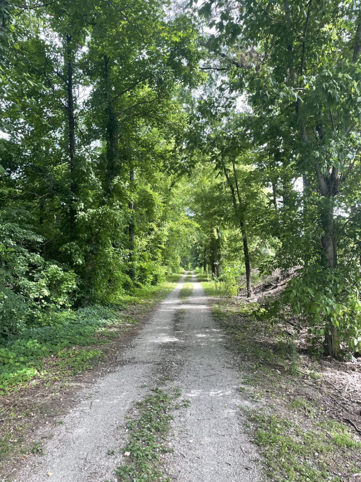 Stories from the Singing River Trail: Richard Martin - 256 Today