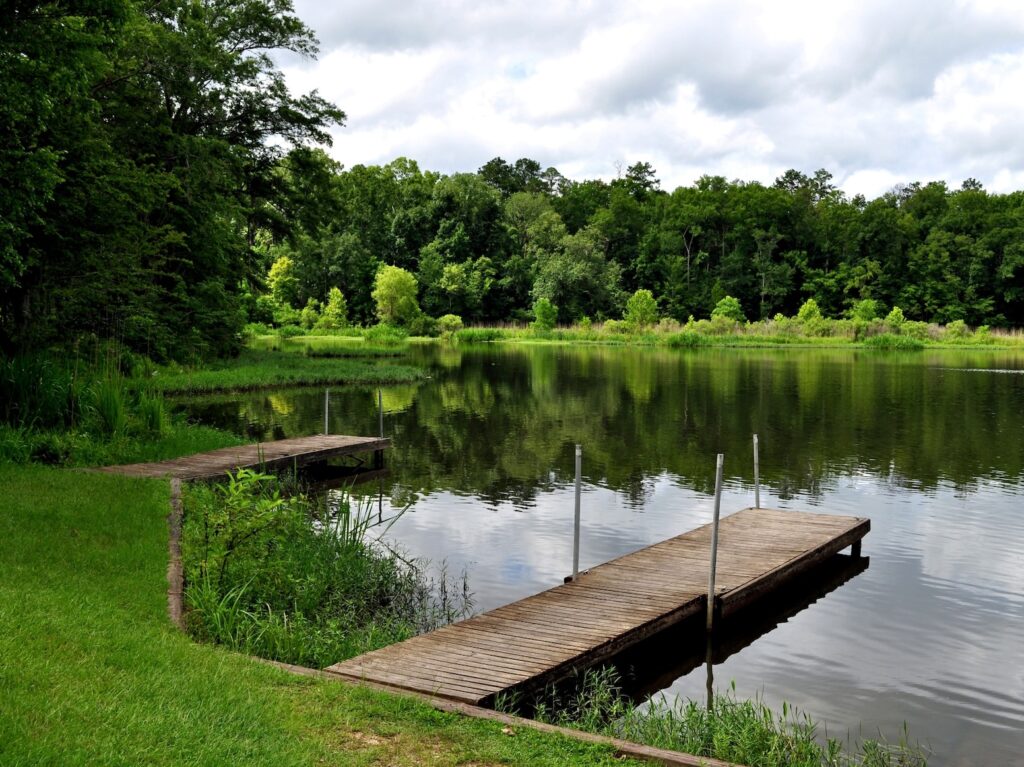 State Parks Passport: Your guide to Roland Cooper State Park