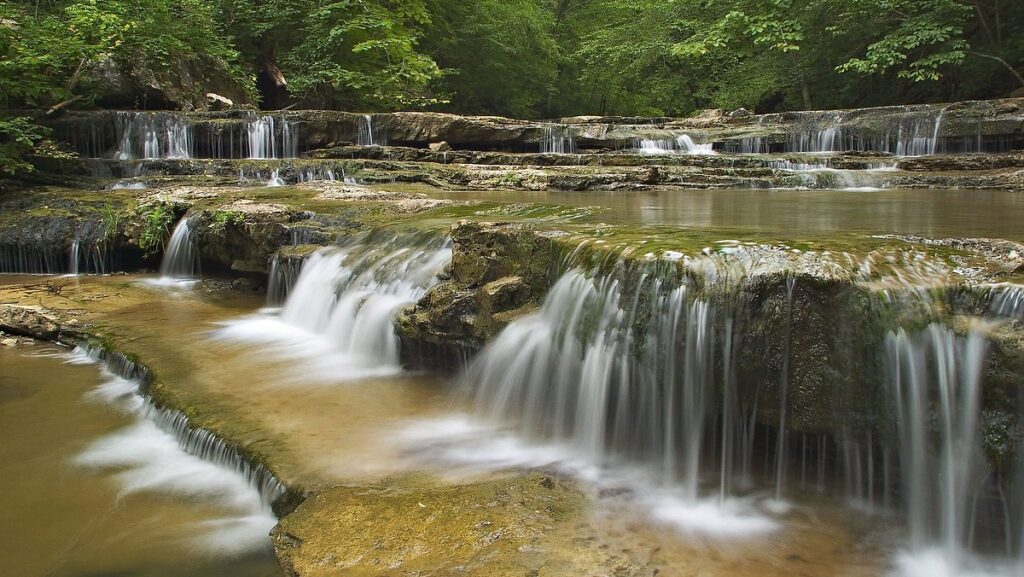 The Nature Conservancy expands restoration efforts in the Paint Rock ...